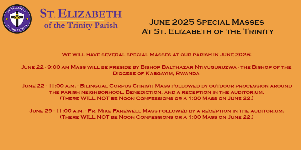 St Elizabeth Of The Trinity North Haven: Complete Guide & Key Details ...